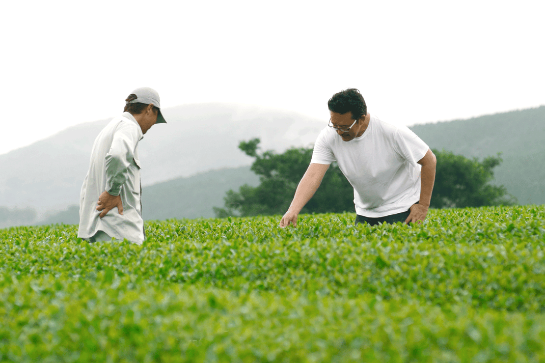 Freshly-ground matcha made easy I Cuzen Matcha